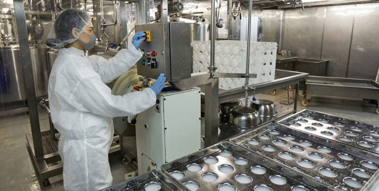 Different Types and procedures involved in Food Processing